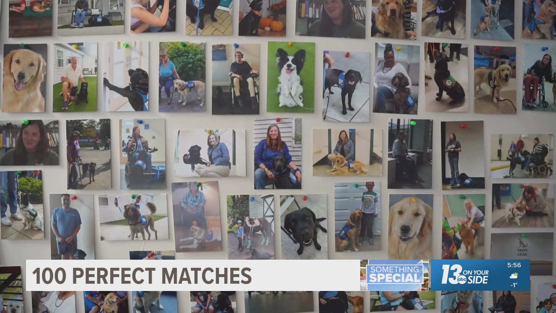 West Michigan trainer celebrates 100th service dog placement | wzzm13.com