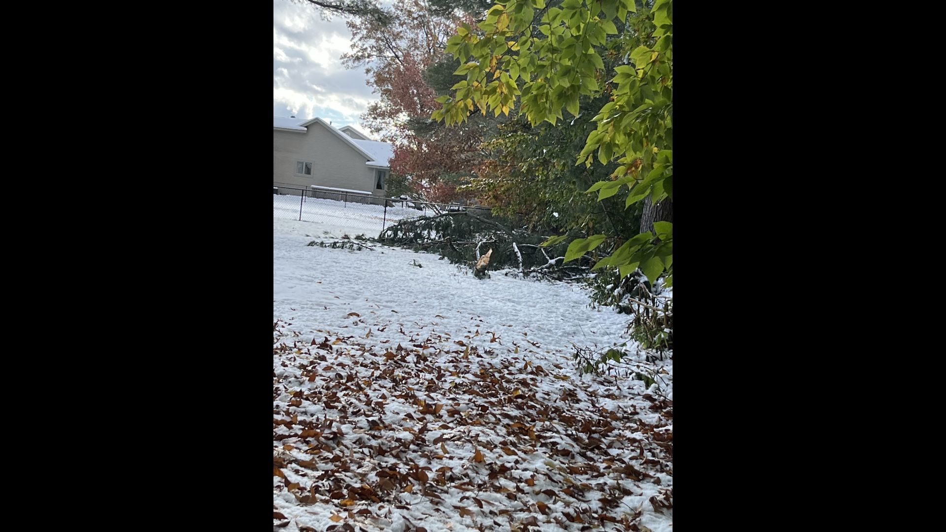 Near Me | wzzm13.com