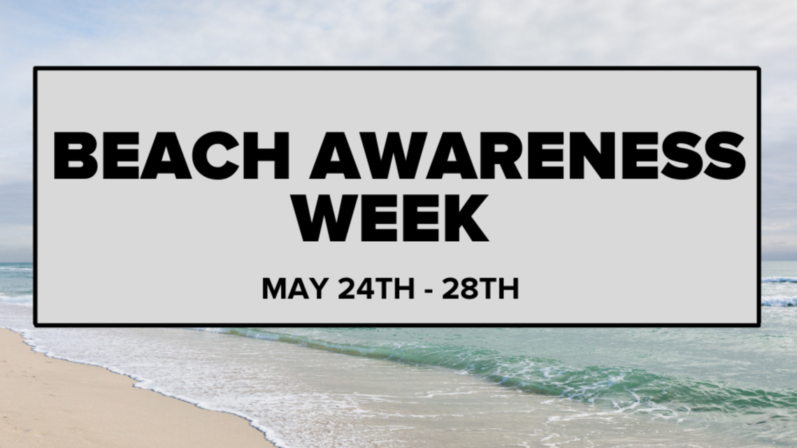 Beach Awareness Week: How to stay safe on the lakeshore | wzzm13.com