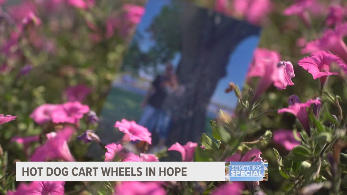 Lowell hot dog cart wheels in hope | wzzm13.com