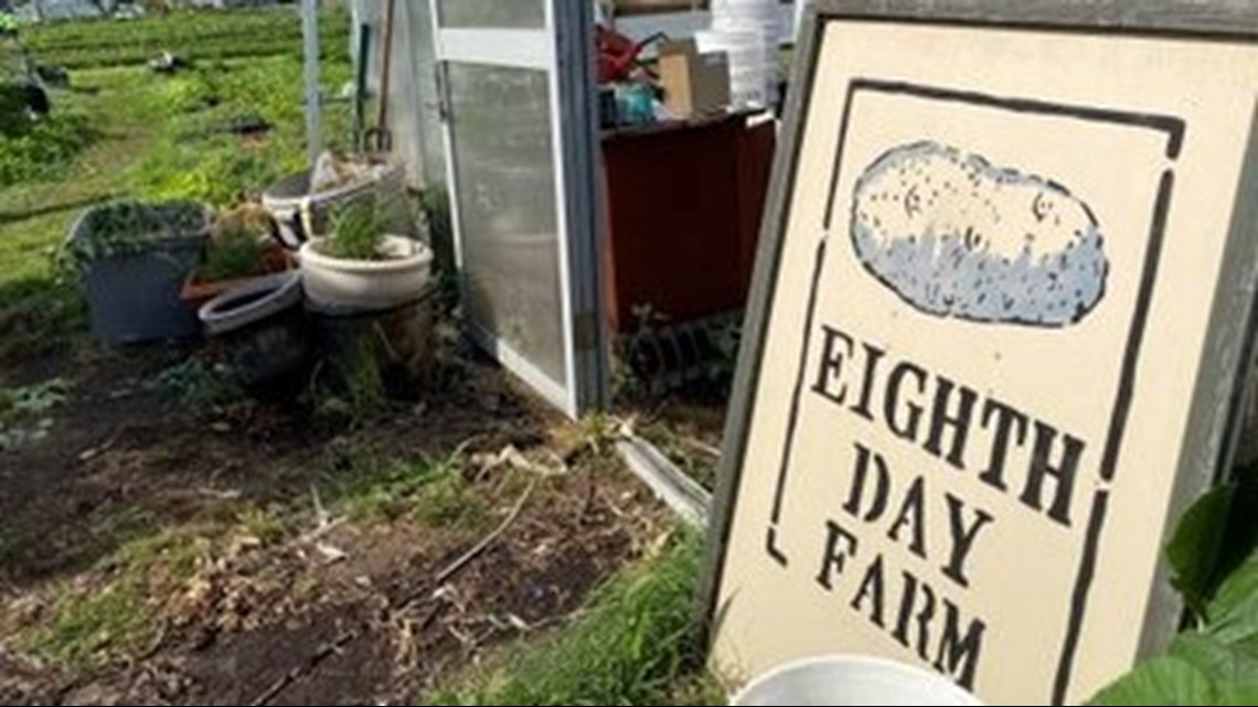 Local Farm Relief Effort gets fresh produce to food pantries | wzzm13.com