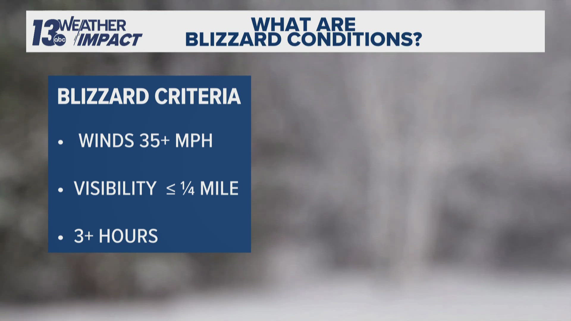 What qualities does a winter storm need to make it a blizzard? | wzzm13.com