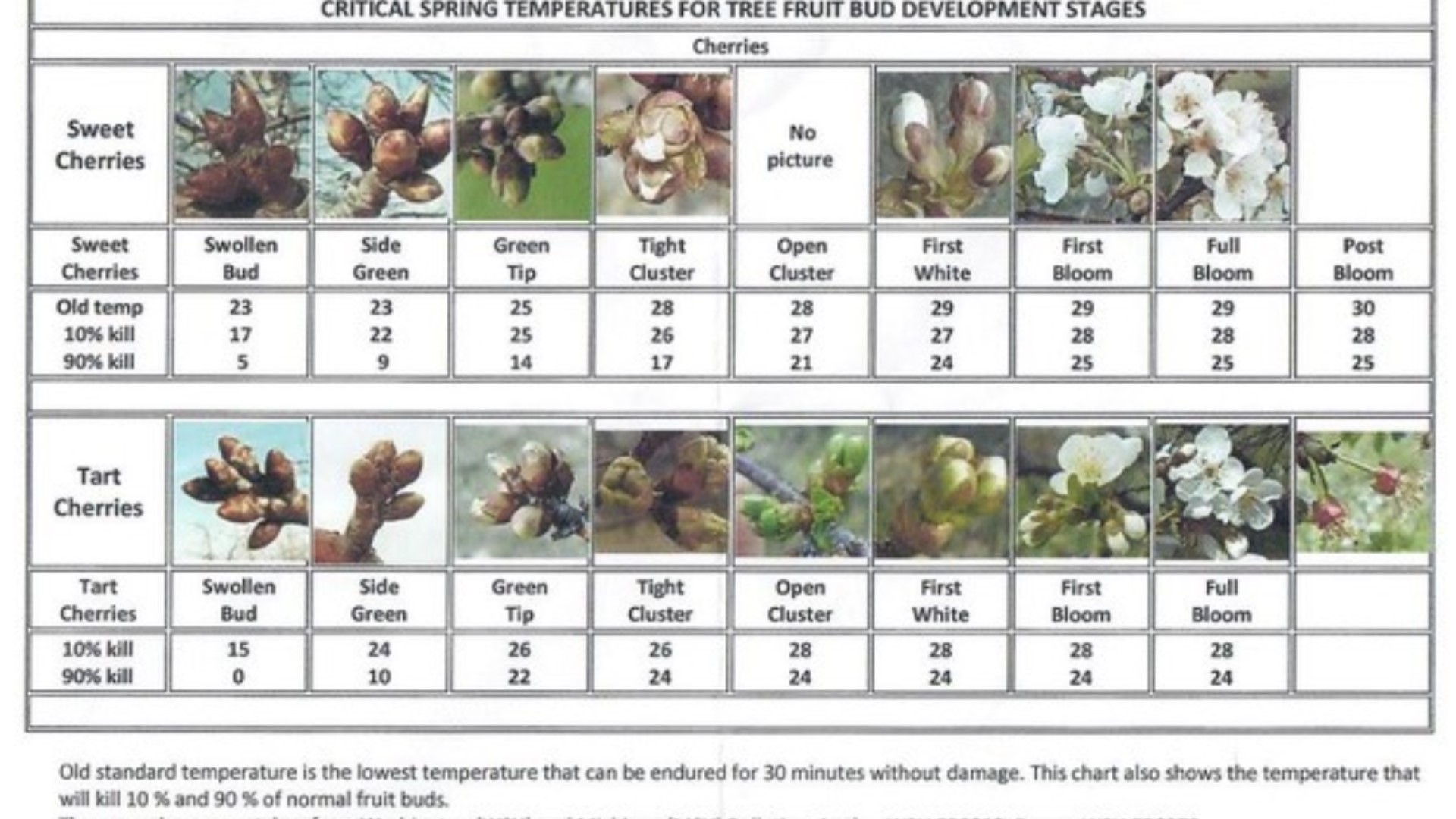 Critical spring temperatures for tree fruit bud development stages ...