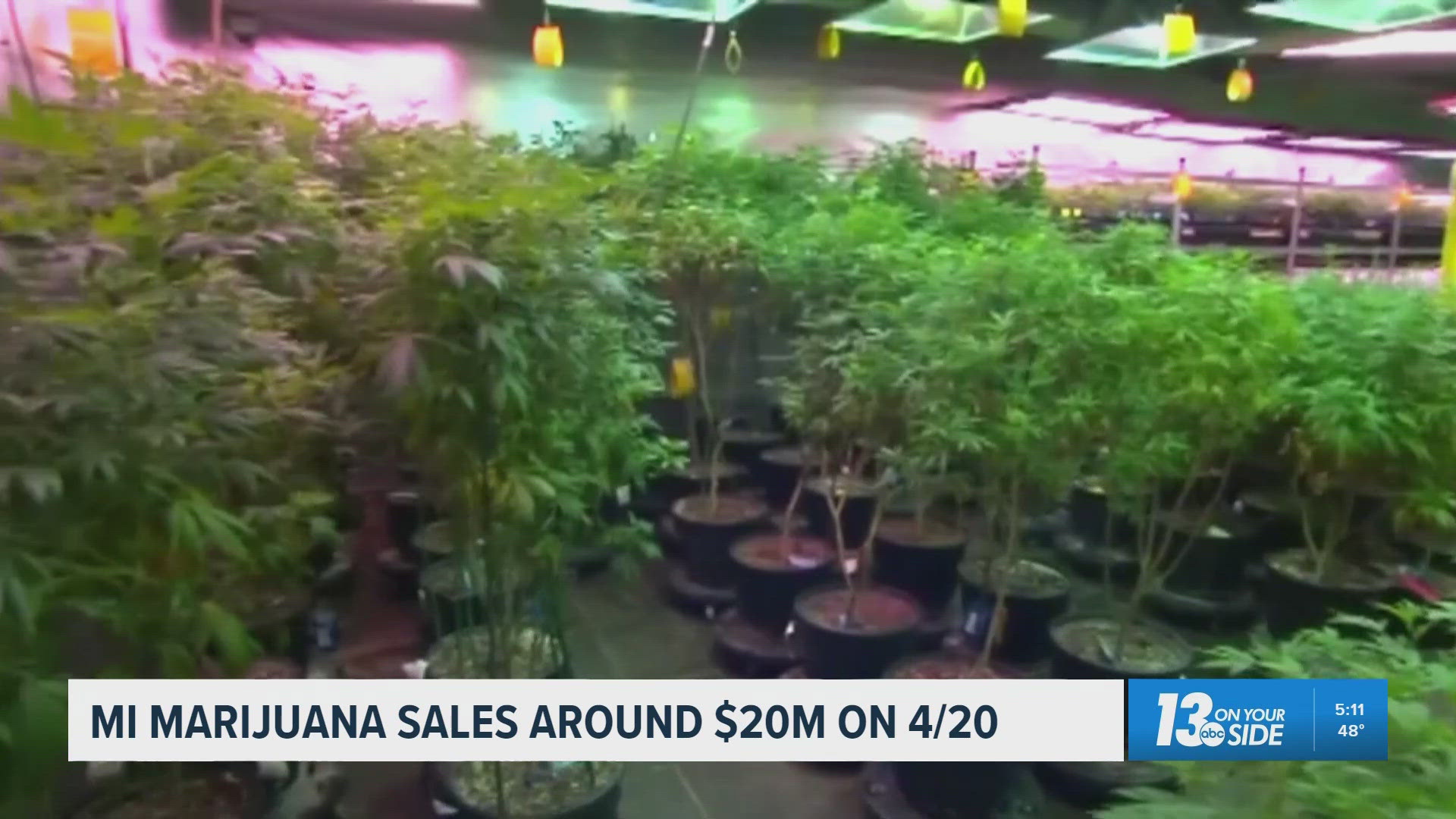 Michigan finalizing how to collect 24% marijuana tax as bipartisan ...