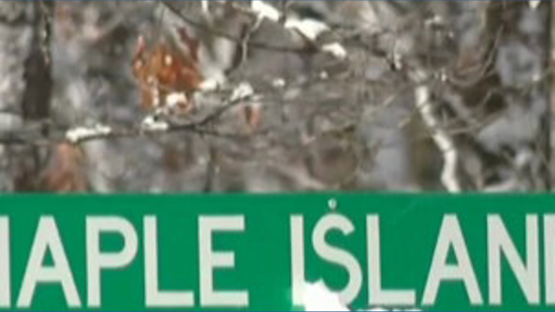 Hesperia Community Schools confirm 3rd-grade student and parent died in ...