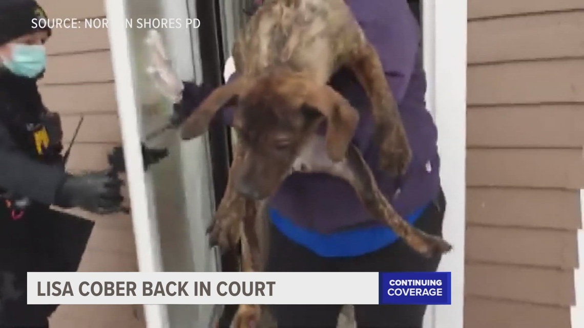 Lisa Cober, accused of hoarding nearly 80 dogs, asks to use donated ...