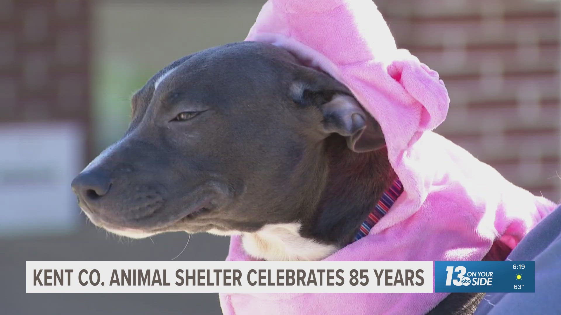 Lostprophets singer Ian Watkins killed in UK prison | wzzm13.com