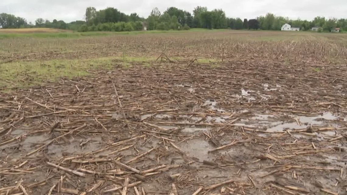 Michigan Farm Bureau: Farmers bracing for rough harvest | wzzm13.com