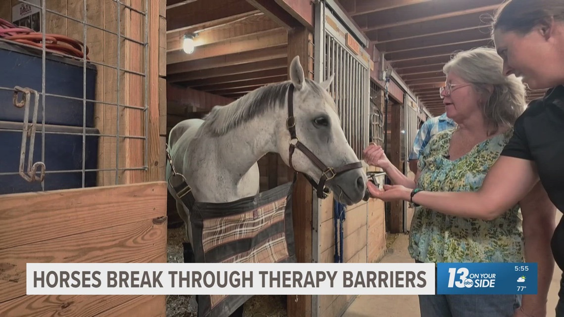 Equine therapy barn celebrates 10 years of healing through horse-human ...