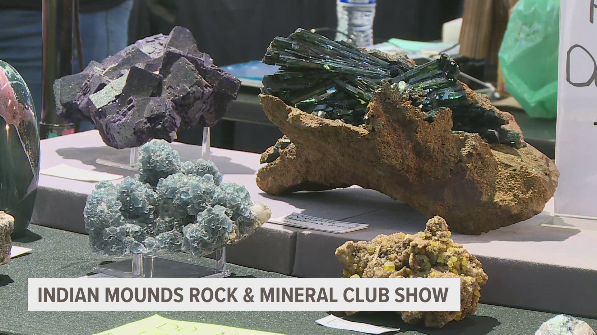 Wyoming rock and mineral club hosting 48th annual gem show | wzzm13.com