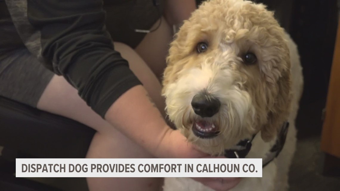 Dispatch dog provides comfort in Calhoun Co. | wzzm13.com