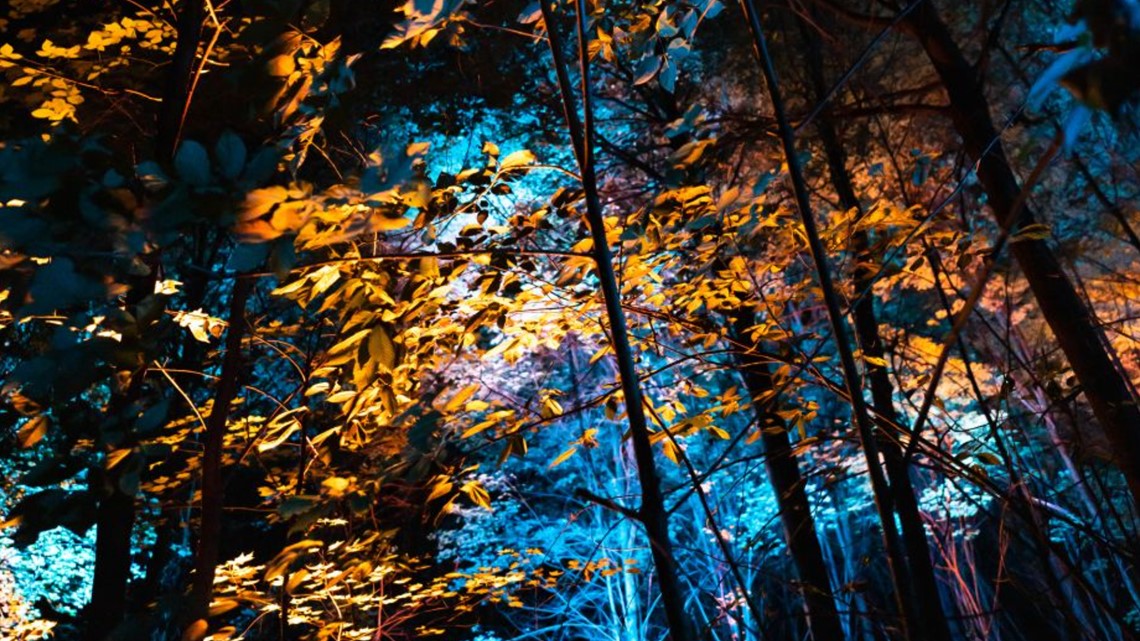 An illuminated, nighttime adventure awaits you at John Ball Zoo ...