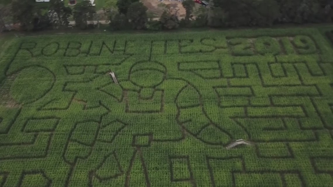 Robinette's corn maze features astronaut | wzzm13.com