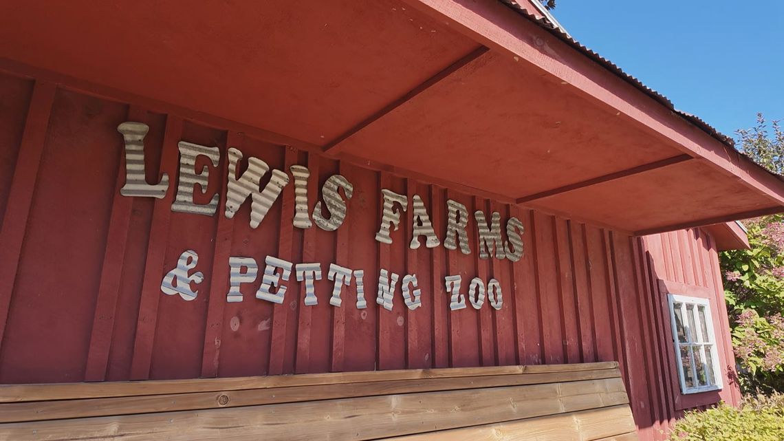 West Michigan fall fun at Lewis Adventure Farm & Zoo | wzzm13.com