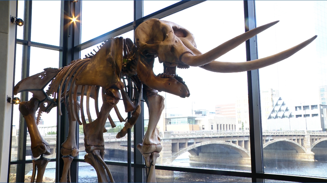 Grand Rapids Public Museum unveils mastodon found in West Michigan ...