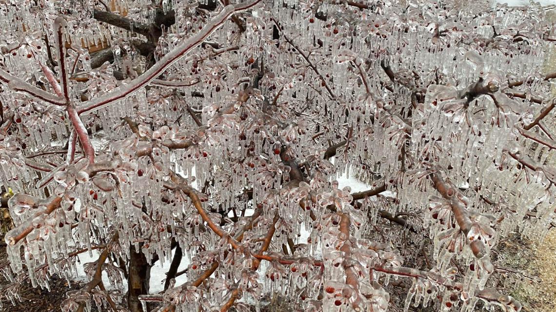 Severe ice storms force indefinite northern Michigan trails closure | wzzm13.com