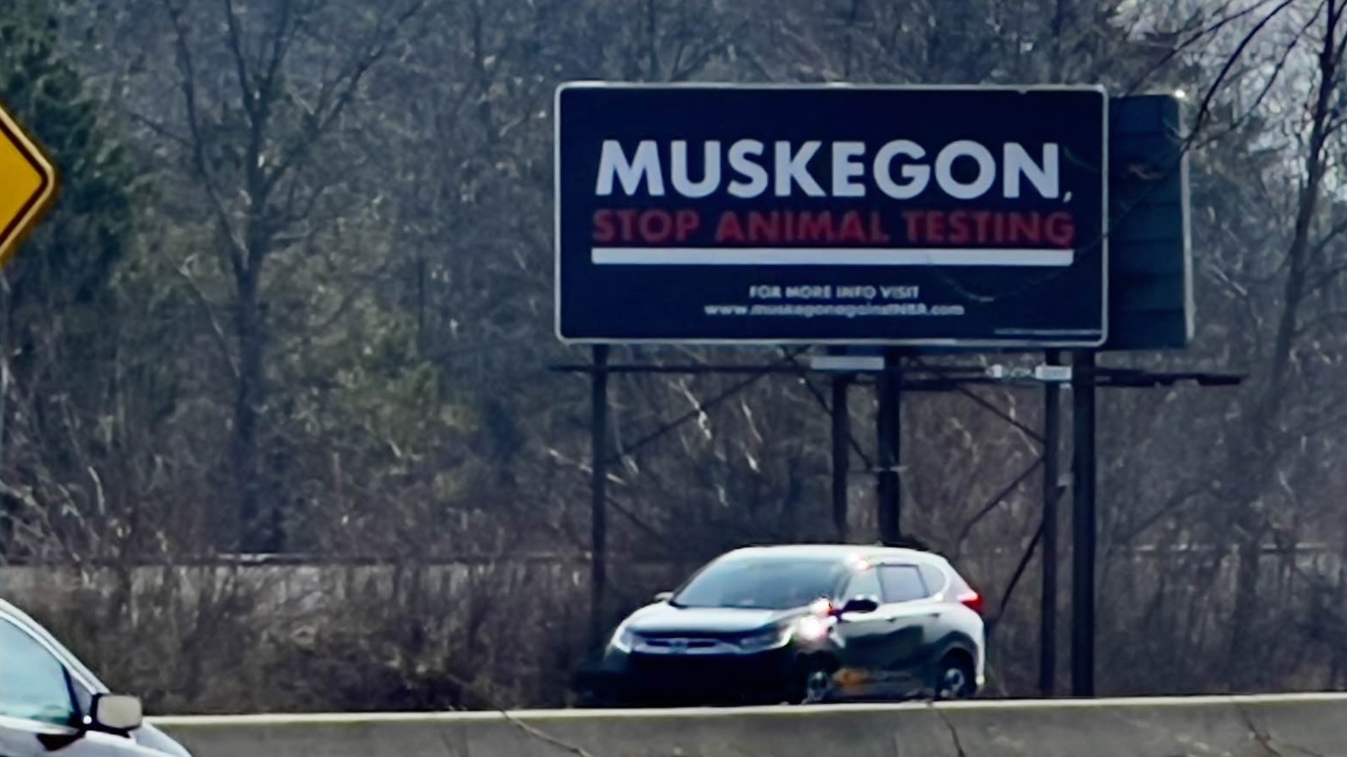 Billboard in Muskegon protests animal testing | wzzm13.com