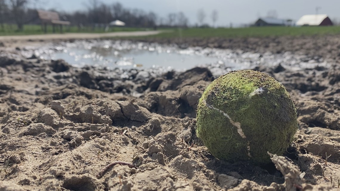 'Muddy Mess': Ottawa Co. needs help for upgrades at popular dog park ...