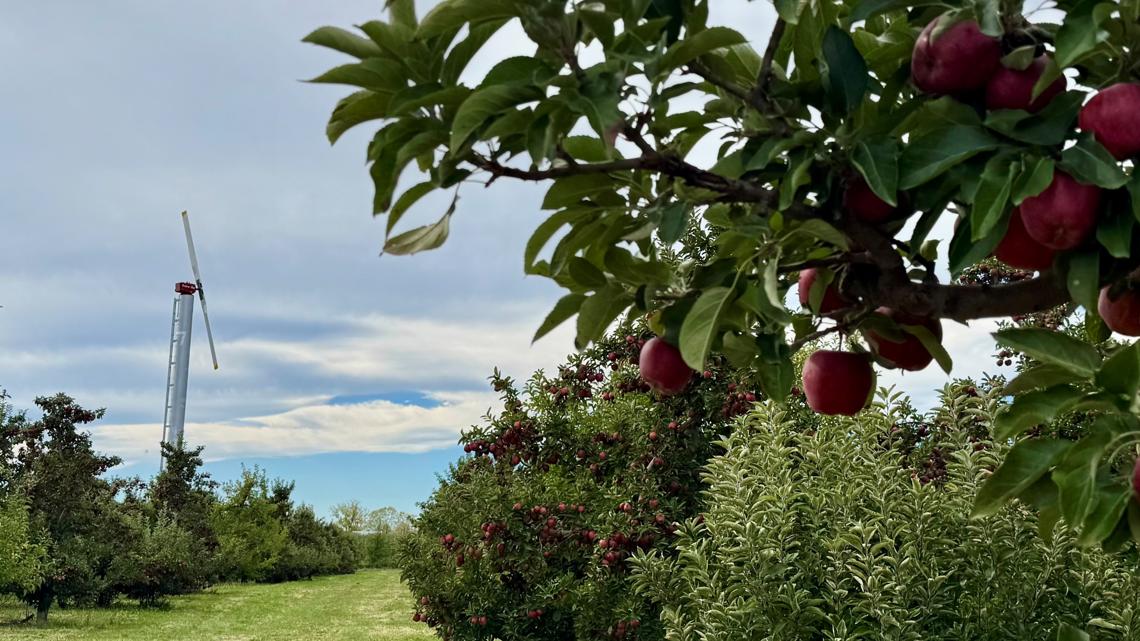 Despite drought and early frost events, local apple orchards remain ...