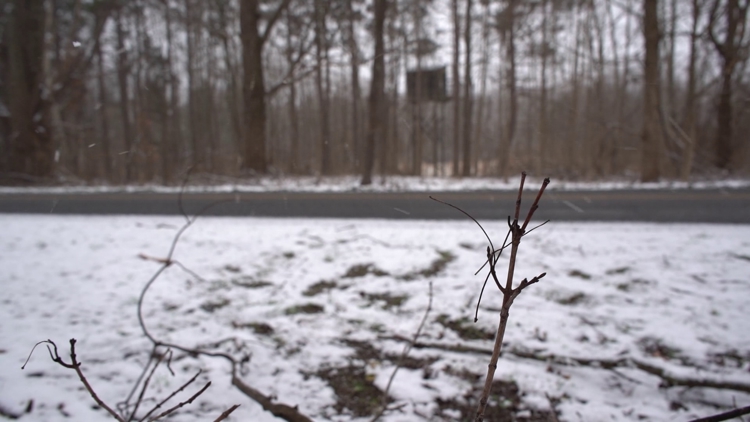 Documents detail the discovery of Kevin Graves' remains | wzzm13.com