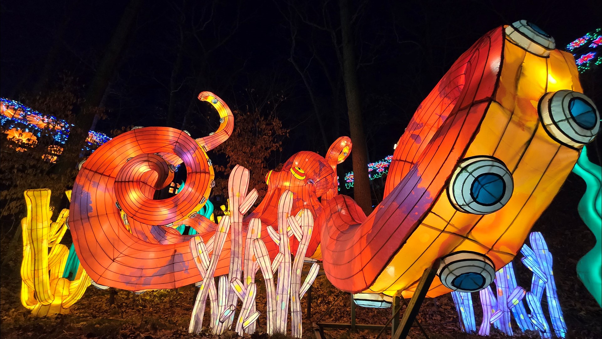 John Ball Zoo Lantern Festival adds more dates due to demand | wzzm13.com