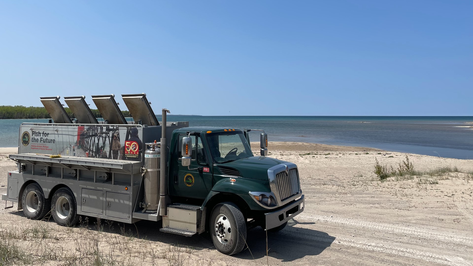 Michigan fishing | State DNR stocks 9 million fish so far in 2023 ...