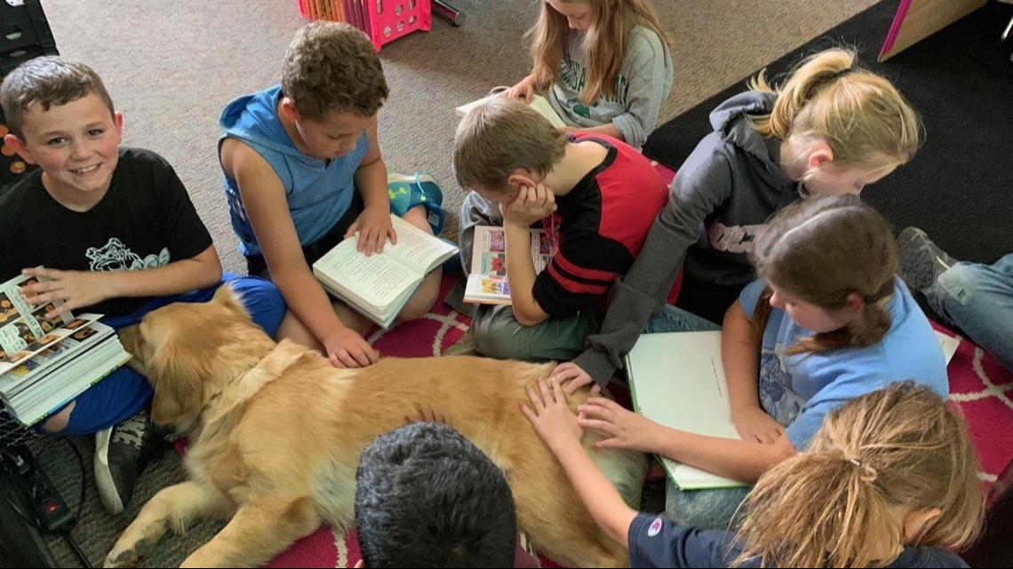 Paws with a Cause program is making school better for kids | wzzm13.com