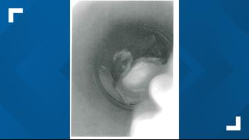 Grand Rapids woman sues Monster after allegedly finding mouse in drink ...