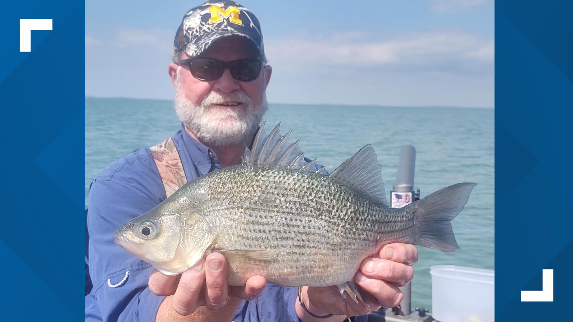 Angler lands Michigan's new white perch state record | wzzm13.com