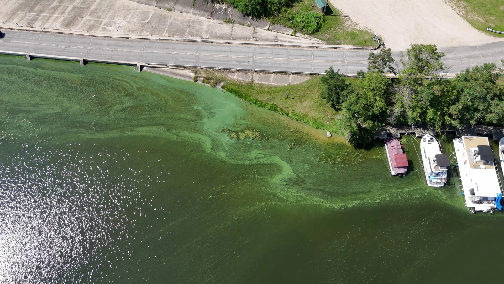 Harmful algae bloom detected on Hardy Dam Pond in Newaygo Co. | wzzm13.com