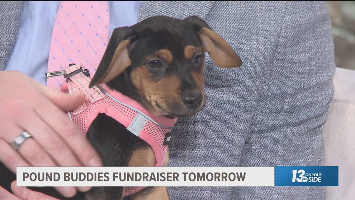 Pound Buddies holding fundraiser gala on Saturday | wzzm13.com
