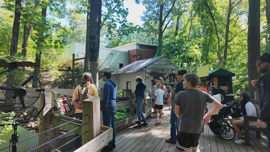 Lantern Festival at John Ball Zoo wraps up with record attendance ...