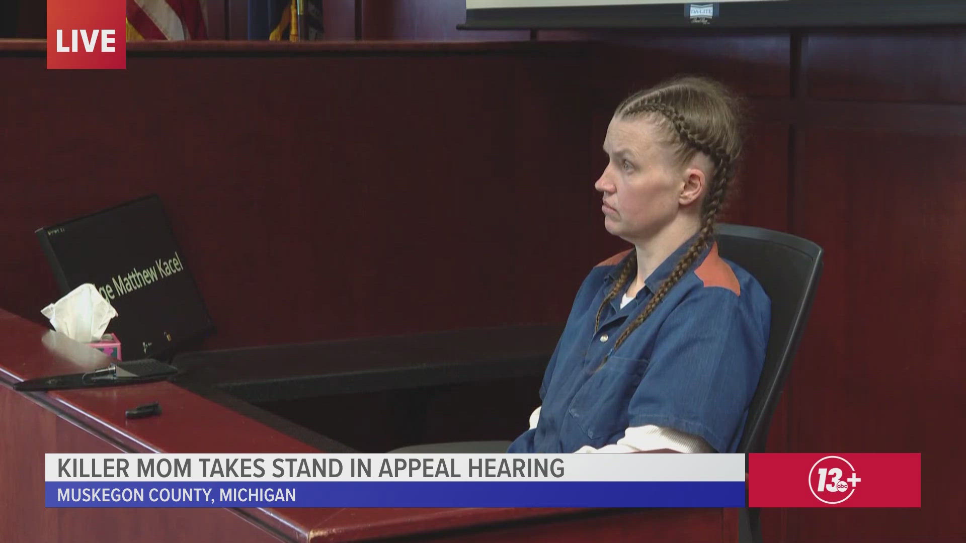 FULL HEARING | Shanda Vander Ark takes the stand during hearing for her ...