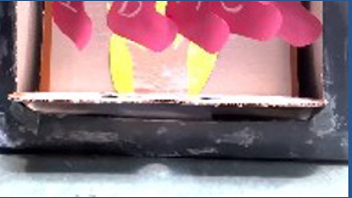 Spider monkeys enjoy festive enrichment at the John Ball Zoo | wzzm13.com