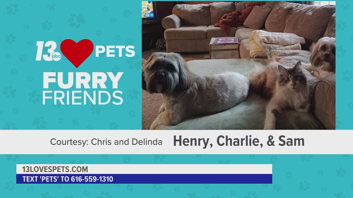Furry Friends: October 24, 2022 | Henry, Charlie & Sam | wzzm13.com