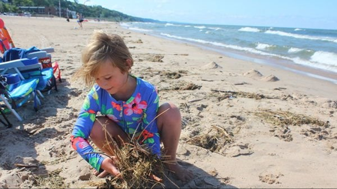 What does it take to keep Lake Michigan beaches clean? | wzzm13.com