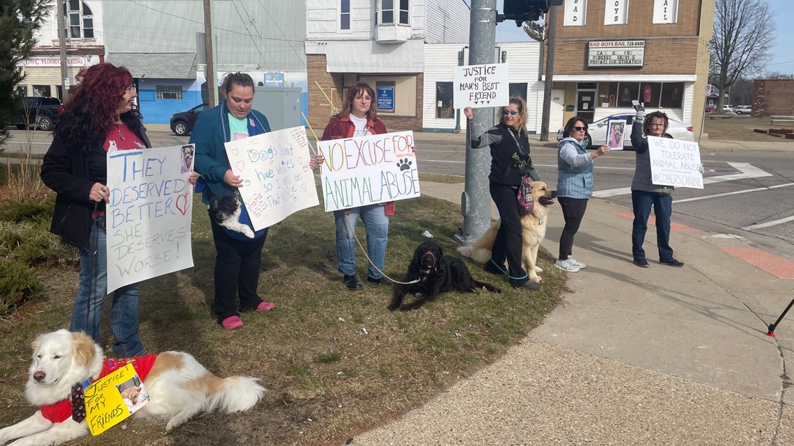 Activists gather outside court hearing for Cober's Canines owner ...