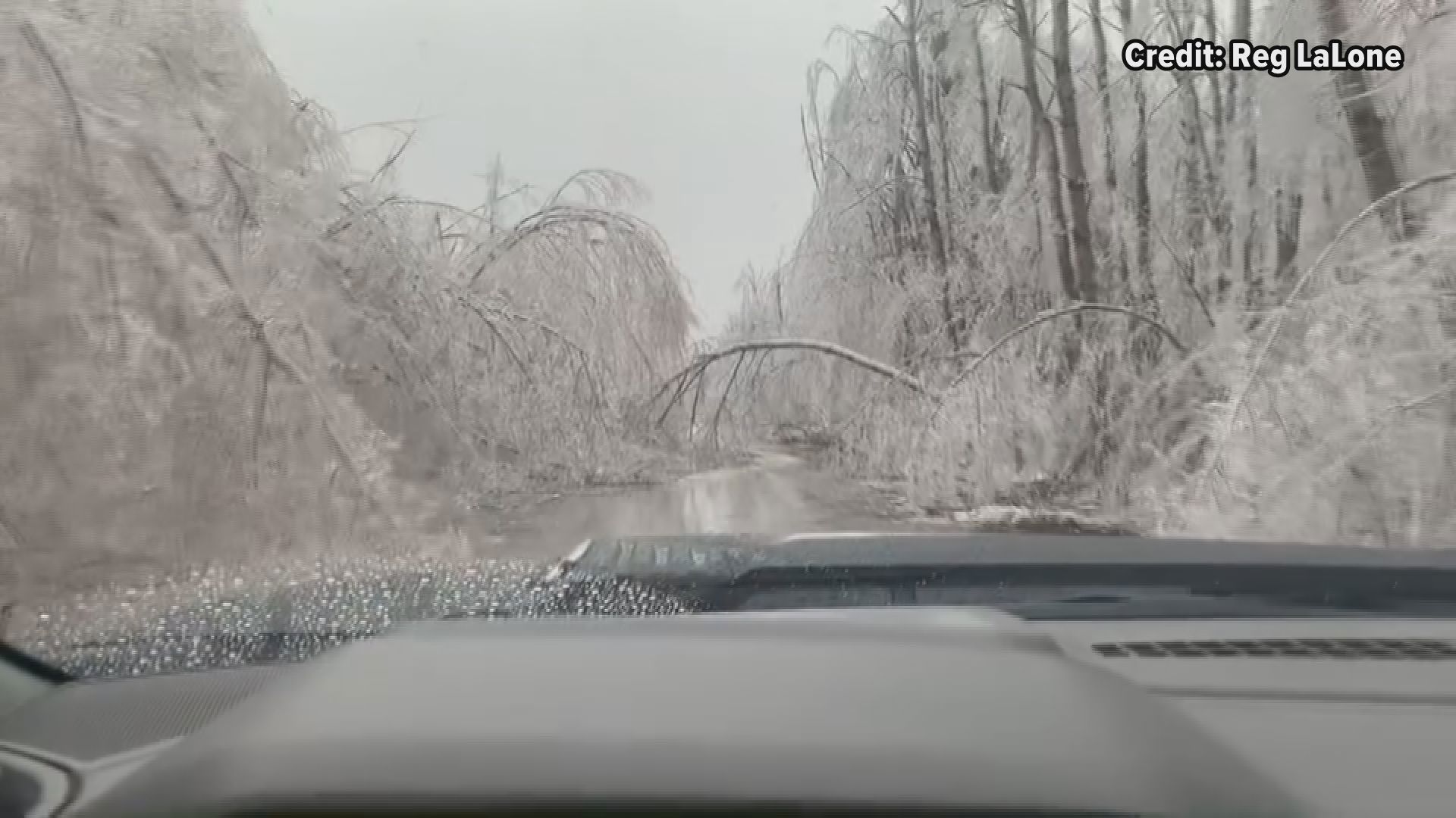 Alpena woman is left in shock after 'unreal' weekend ice storm | wzzm13.com