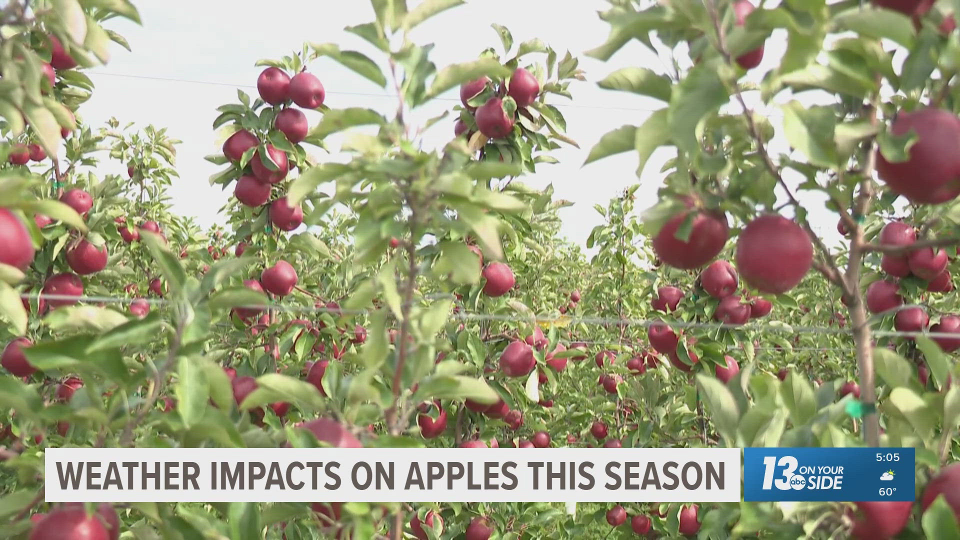 Despite drought and early frost events, local apple orchards remain ...