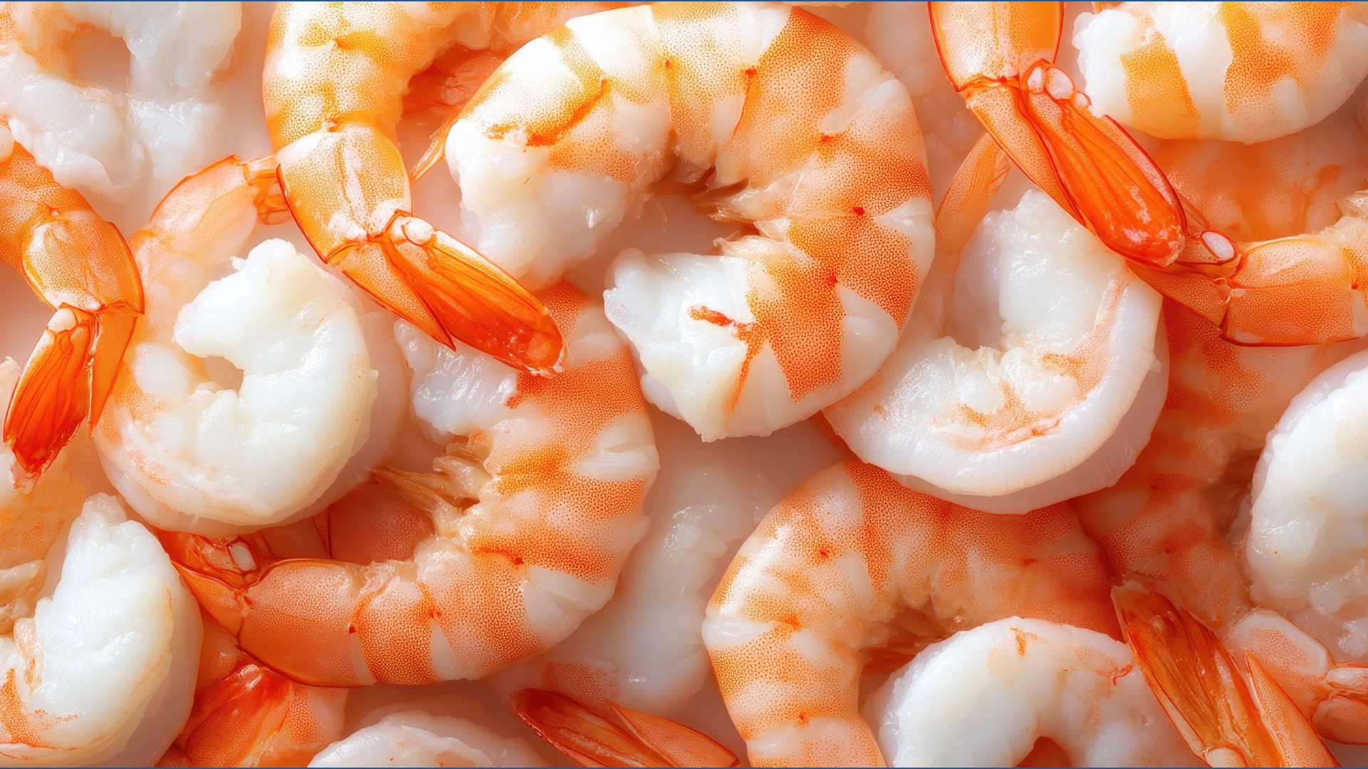 Check your freezers recalled radioactive shrimp, Michigan! | wzzm13.com