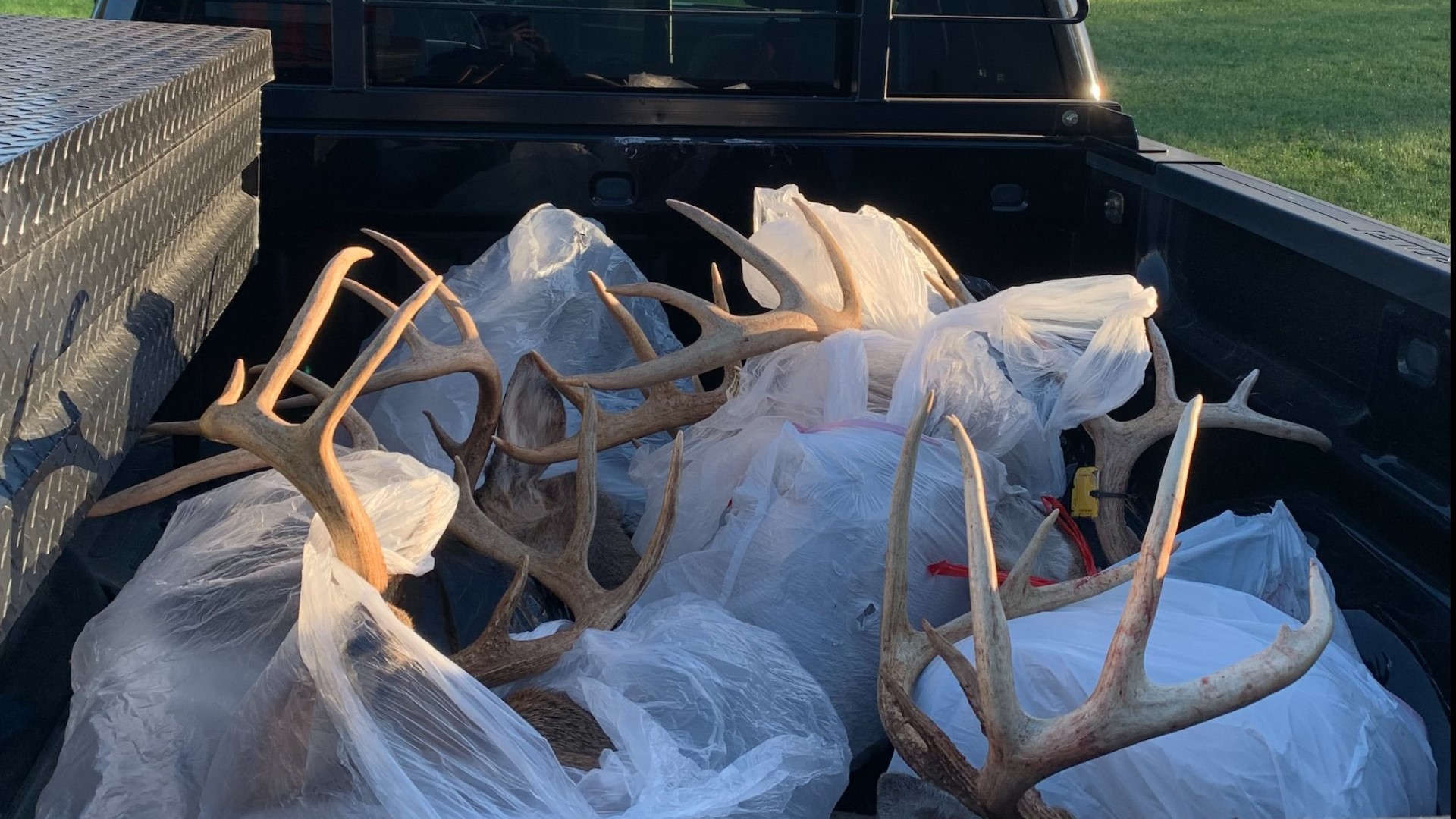 Michigan man accused of poaching 9 trophy bucks | wzzm13.com