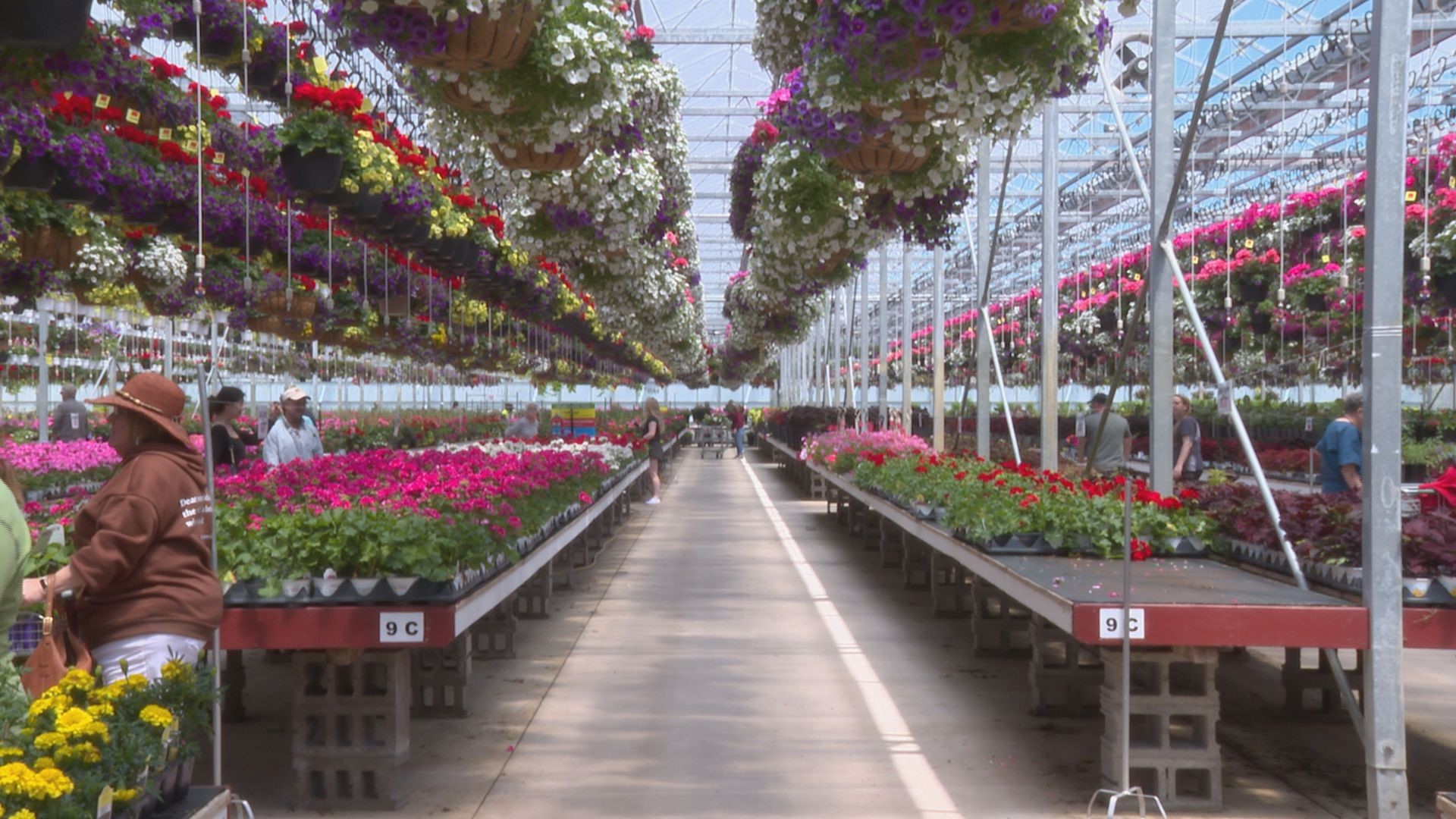 Things to know for Memorial Day weekend planting | wzzm13.com