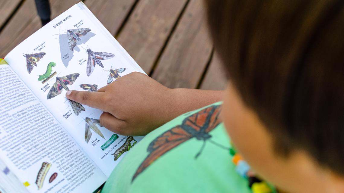 Meet West Michigan's youngest conservationist, Liam the Lepidopterist ...