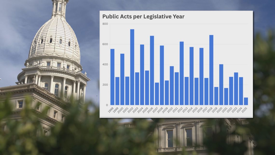 New laws taking effect in Michigan in 2026 | wzzm13.com