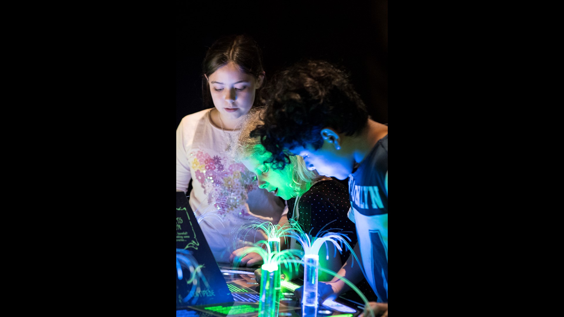 Grand Rapids Public Museum announces 'Bugs' exhibition | wzzm13.com