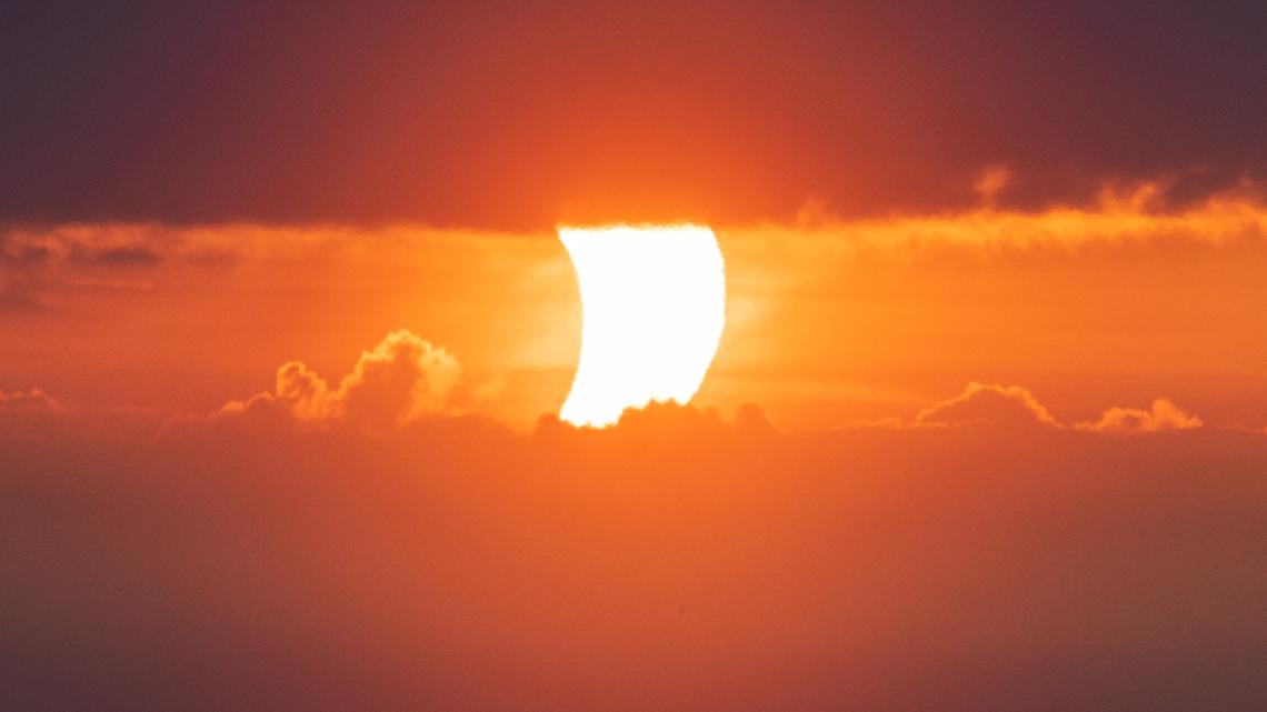 Scientists ask for help observing animal behavior during eclipse ...