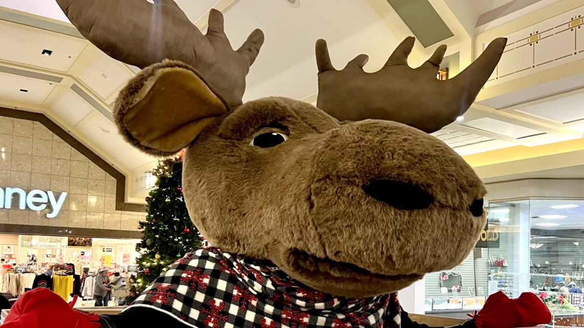 How Muskegon County students brought 'Kris Moose' back to life | wzzm13.com