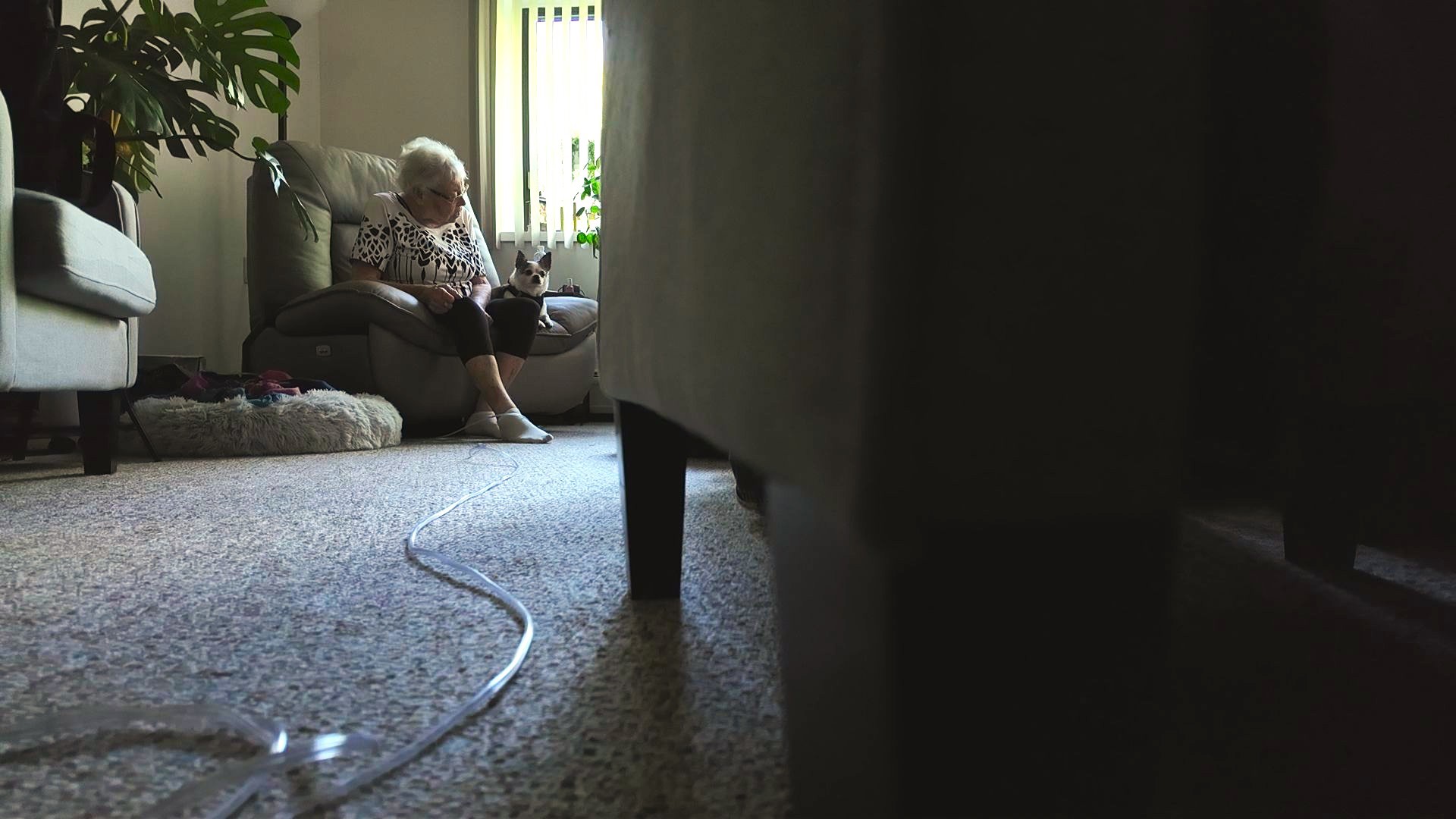 Shelter covers house call vet costs so seniors can keep their best ...