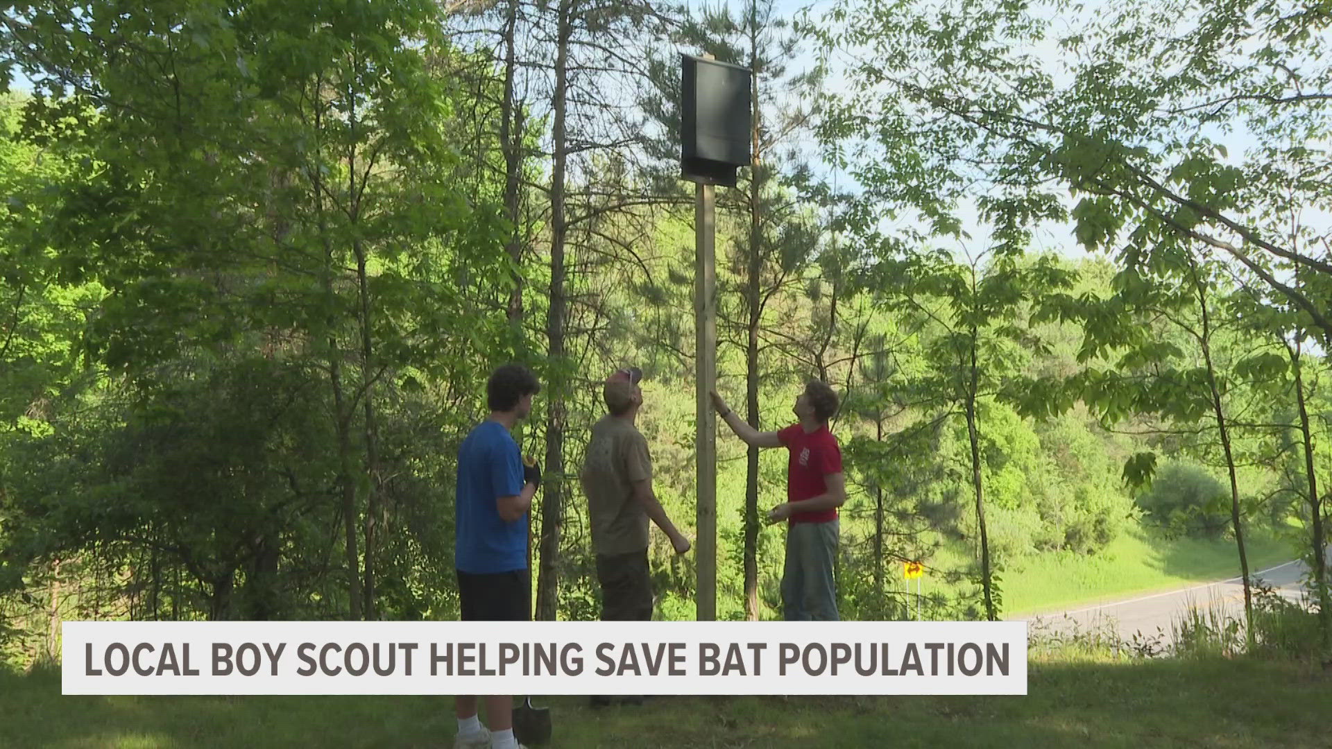 Local Boy Scout builds bat boxes to install in West Michigan parks ...