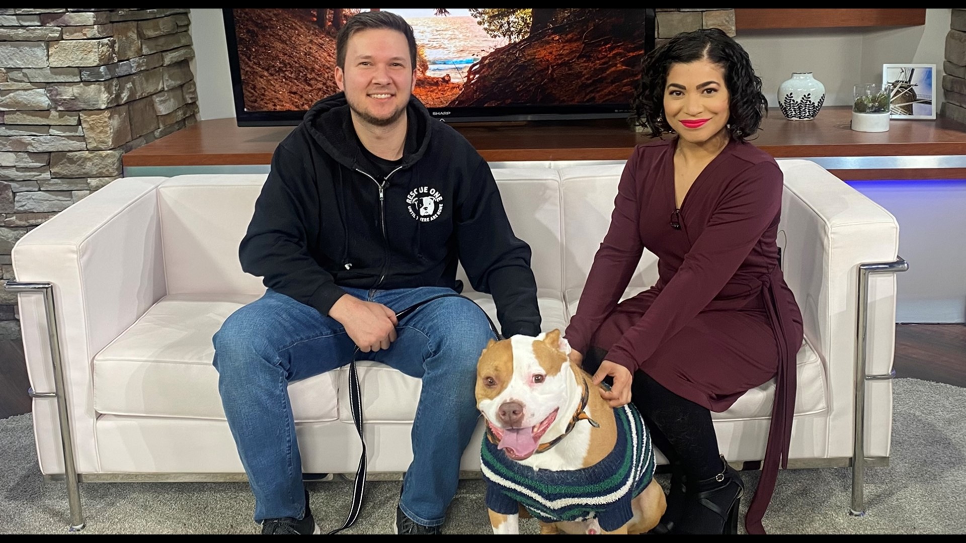 Could Nick's fur-ever home be with you? | wzzm13.com